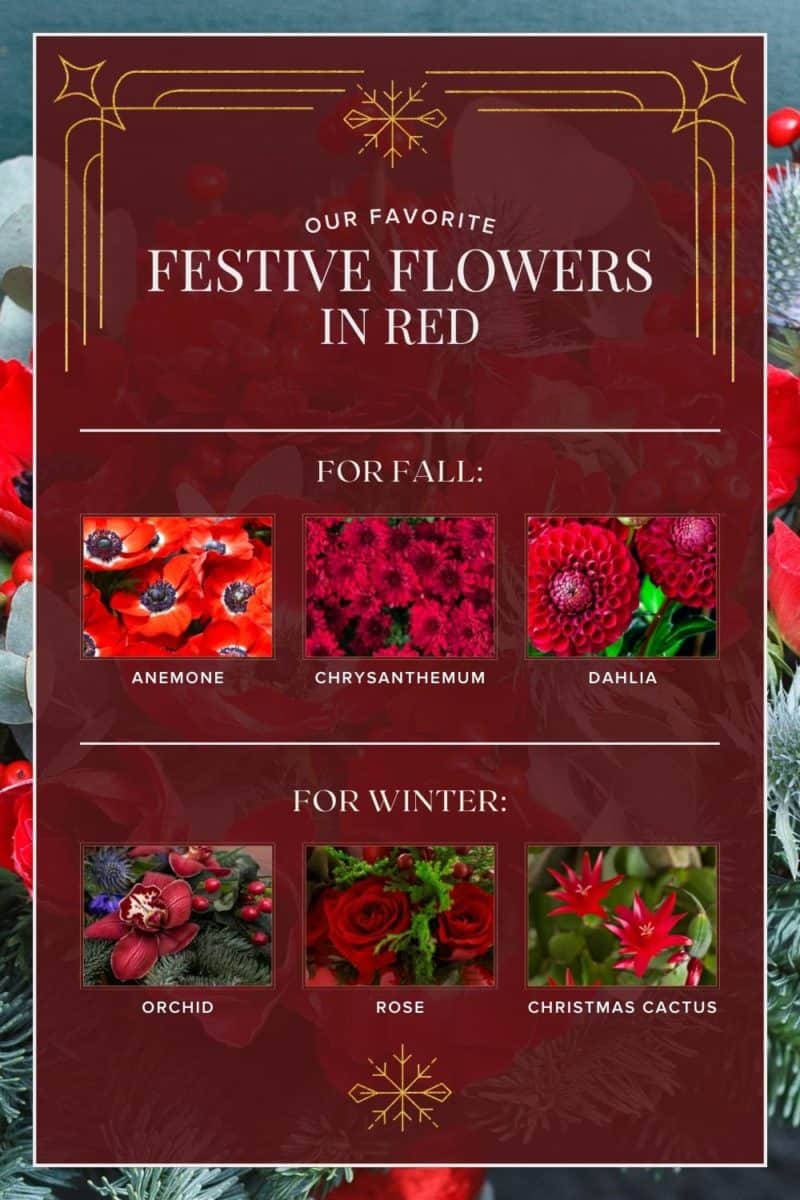 Add Cheer and Warmth to Your Home with These Fresh Radiant Red Blooms ...